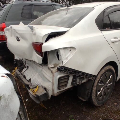 KIA RIO – Provemóvil